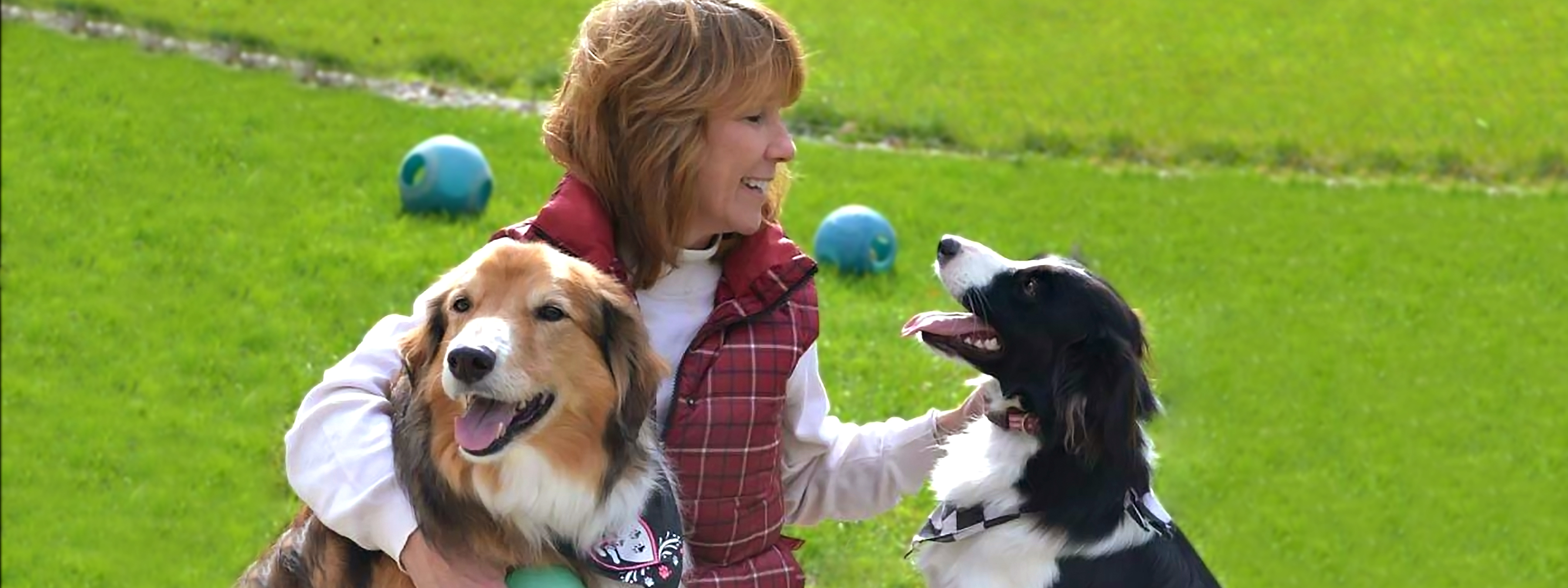 Companion Canines – Helping Develop Happy, Well-Balanced & Reliable Canines